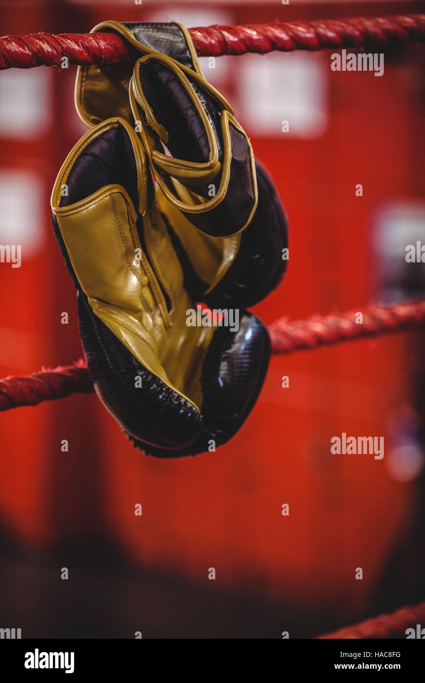 Yellow boxing gloves hanging off the boxing ring Stock Photo - Alamy