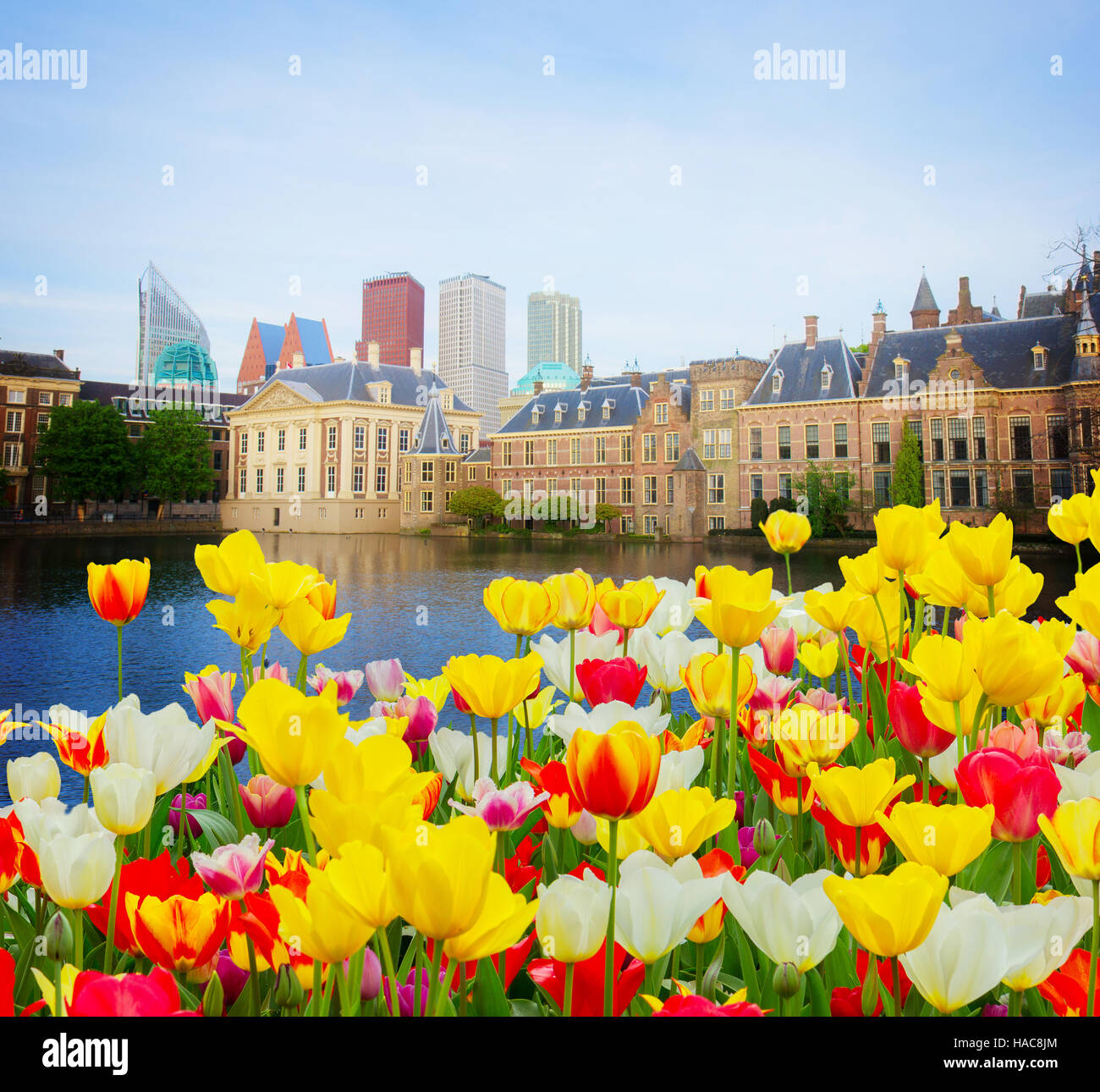Den Haag, Netherlands Stock Photo - Alamy