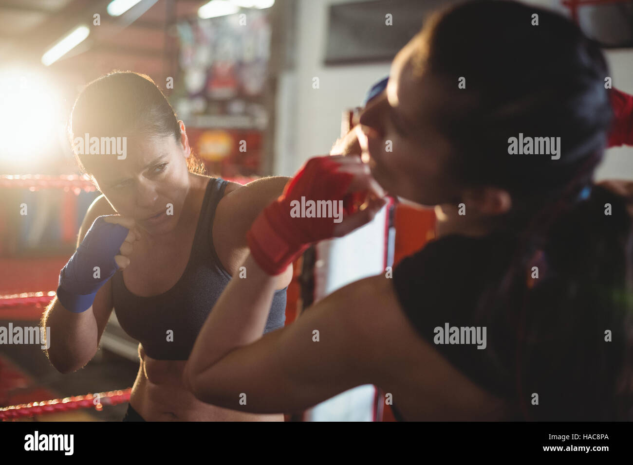 Female boxers fighting in boxing ring Stock Photo - Alamy