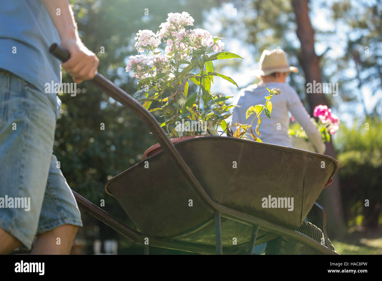 Man pushing a wheelbarrow in the garden Stock Photo - Alamy