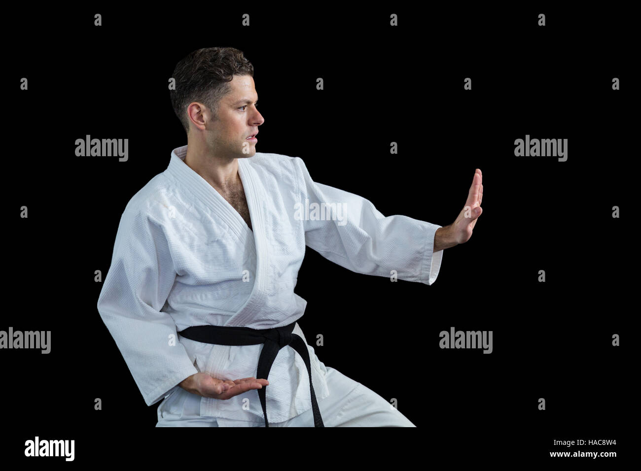 Karate player performing karate stance Stock Photo - Alamy