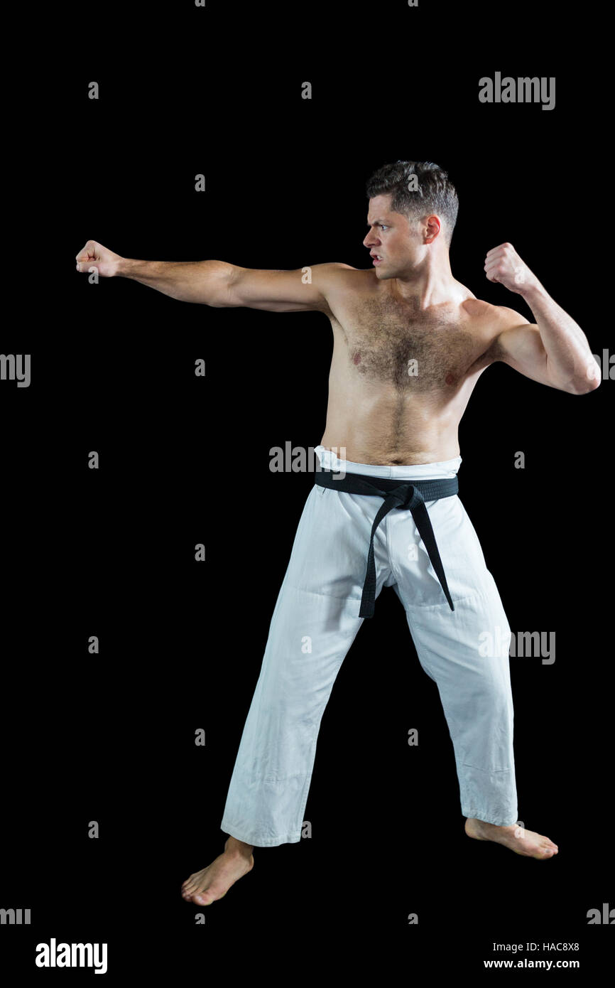 Karate fighter performing karate stance Stock Photo - Alamy