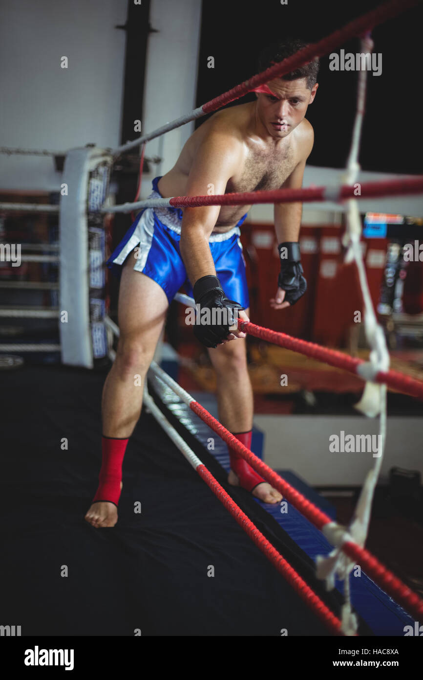 Boxer entering in boxing ring Stock Photo - Alamy