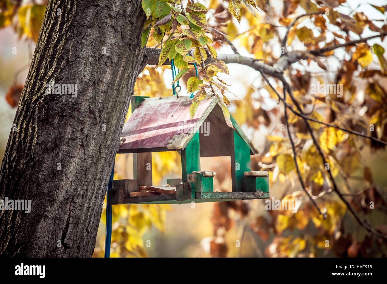 Bird house on the tree Stock Photo - Alamy