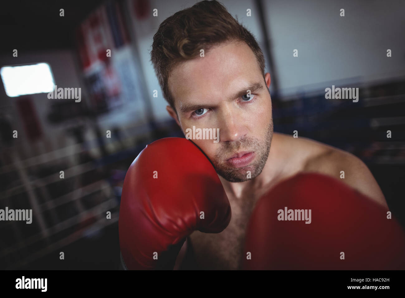 Confident boxer performing boxing stance Stock Photo - Alamy