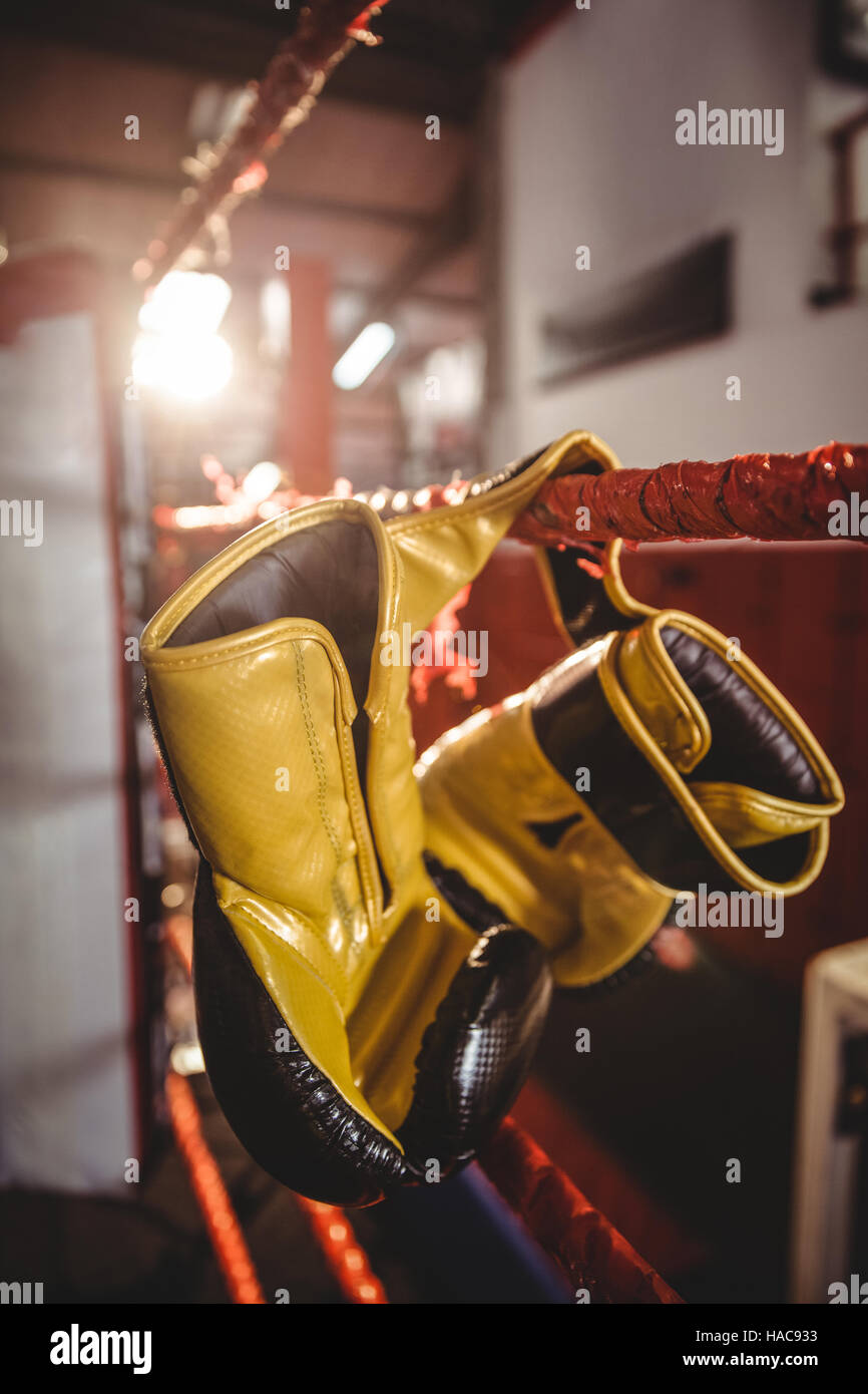 Yellow boxing gloves hanging off the boxing ring Stock Photo - Alamy