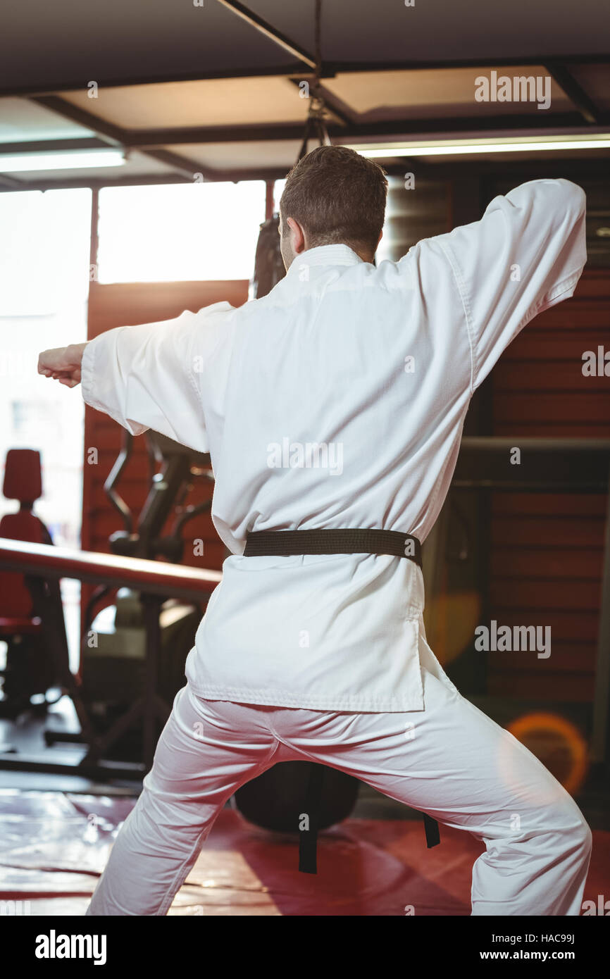 Rare view of karate player performing karate stance Stock Photo - Alamy