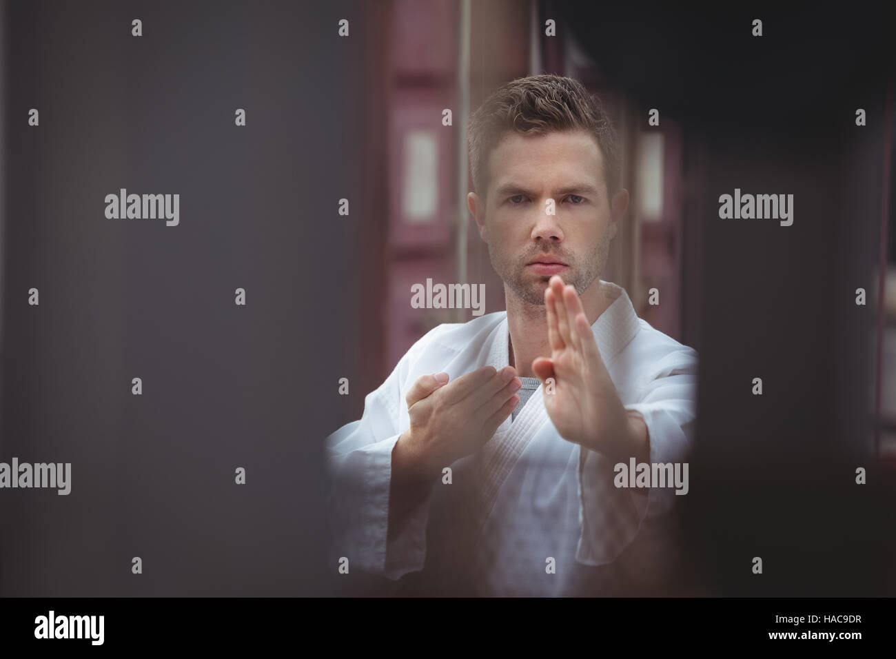 Karate player performing karate stance Stock Photo - Alamy