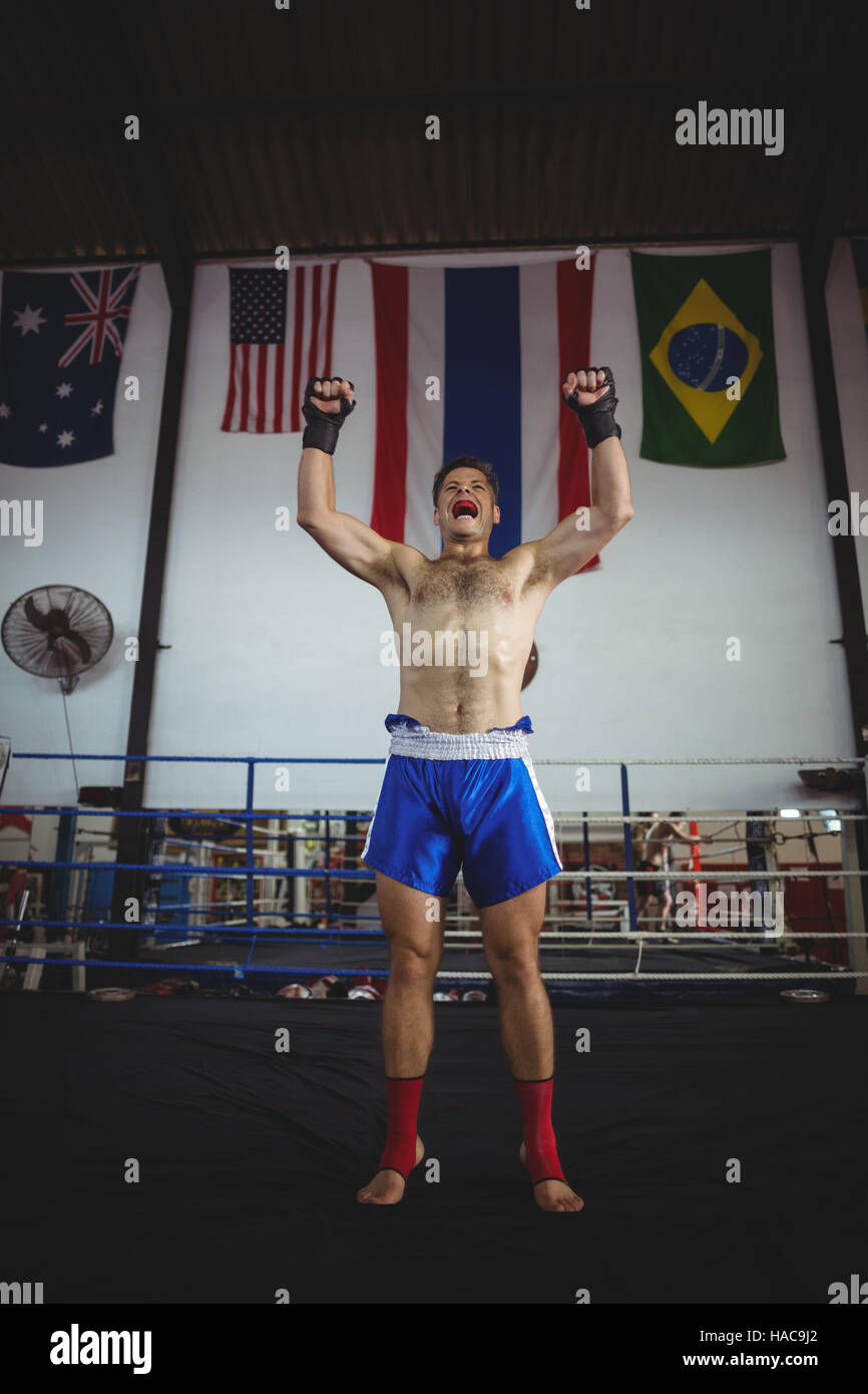 Boxer posing after victory Stock Photo - Alamy