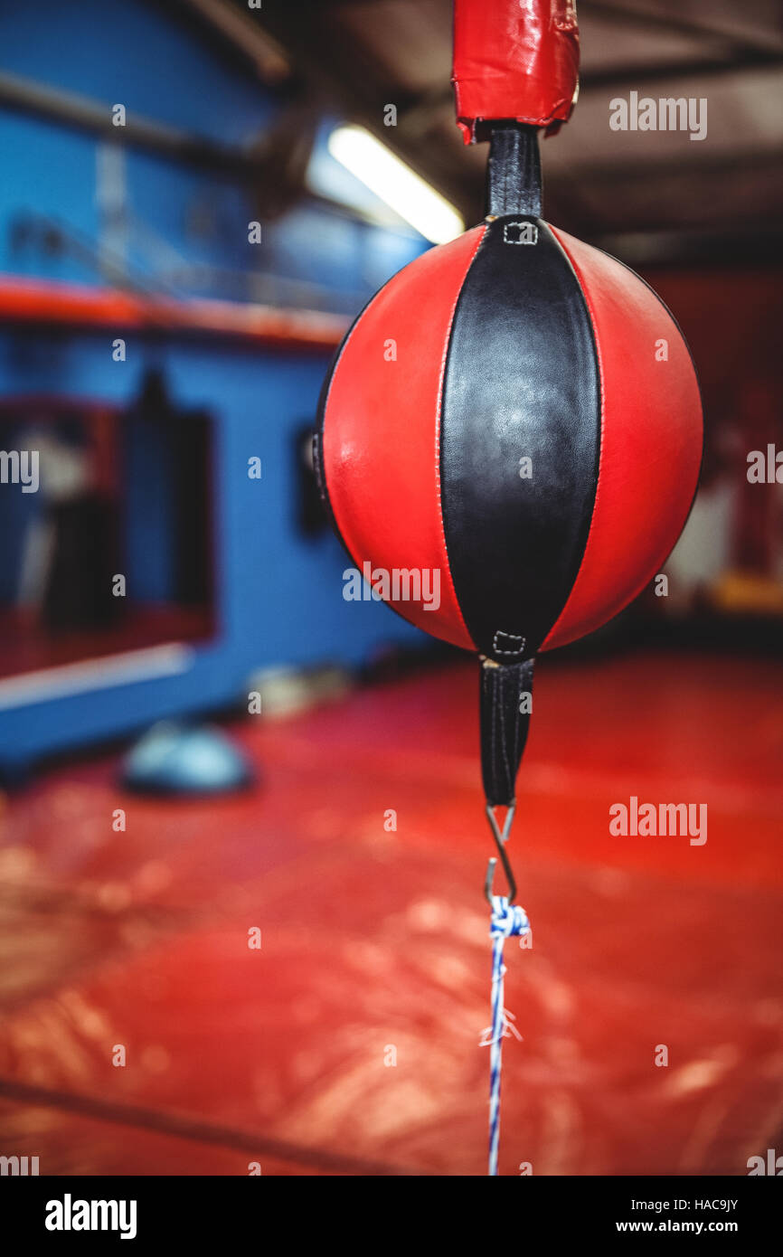 Close-up of a speed boxing ball Stock Photo - Alamy