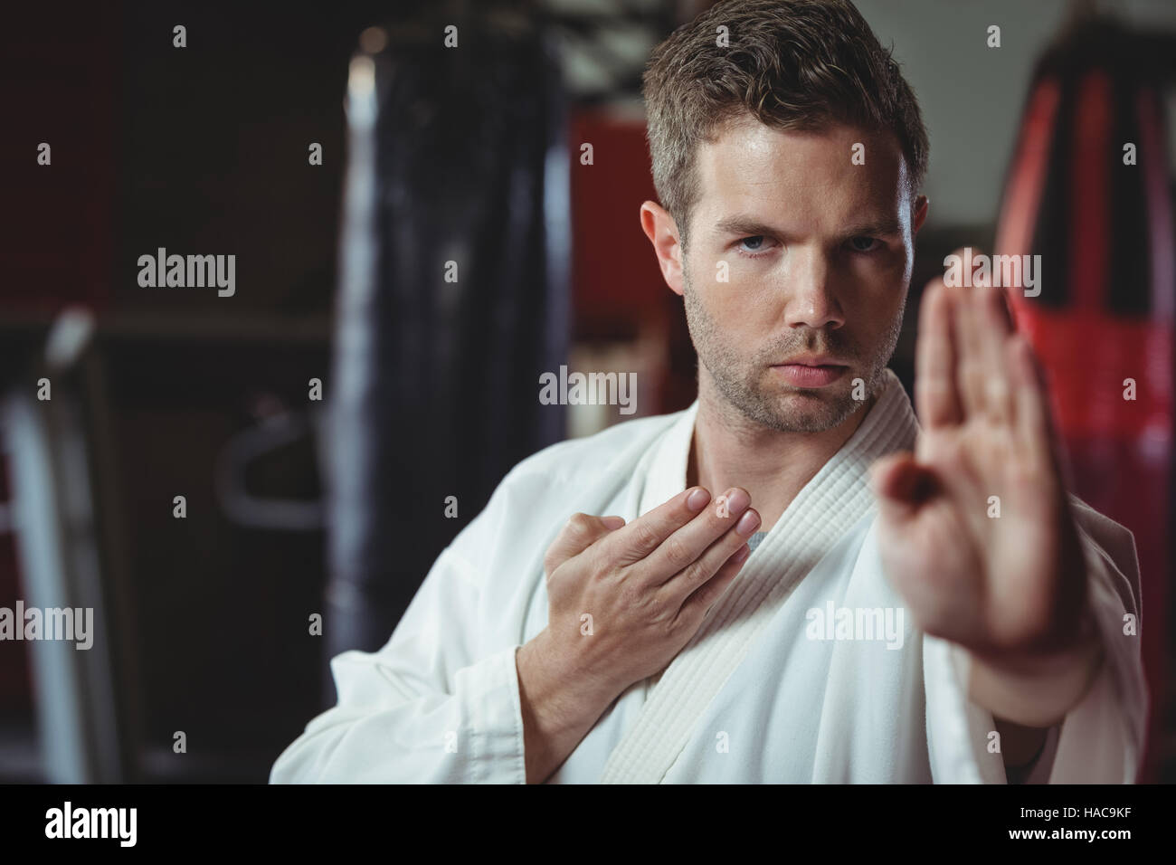 Karate player performing karate stance Stock Photo - Alamy