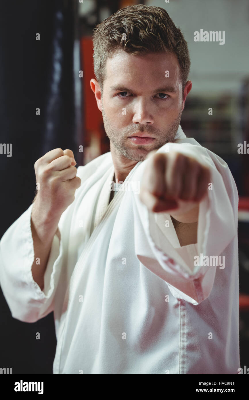 Karate player performing karate stance Stock Photo - Alamy