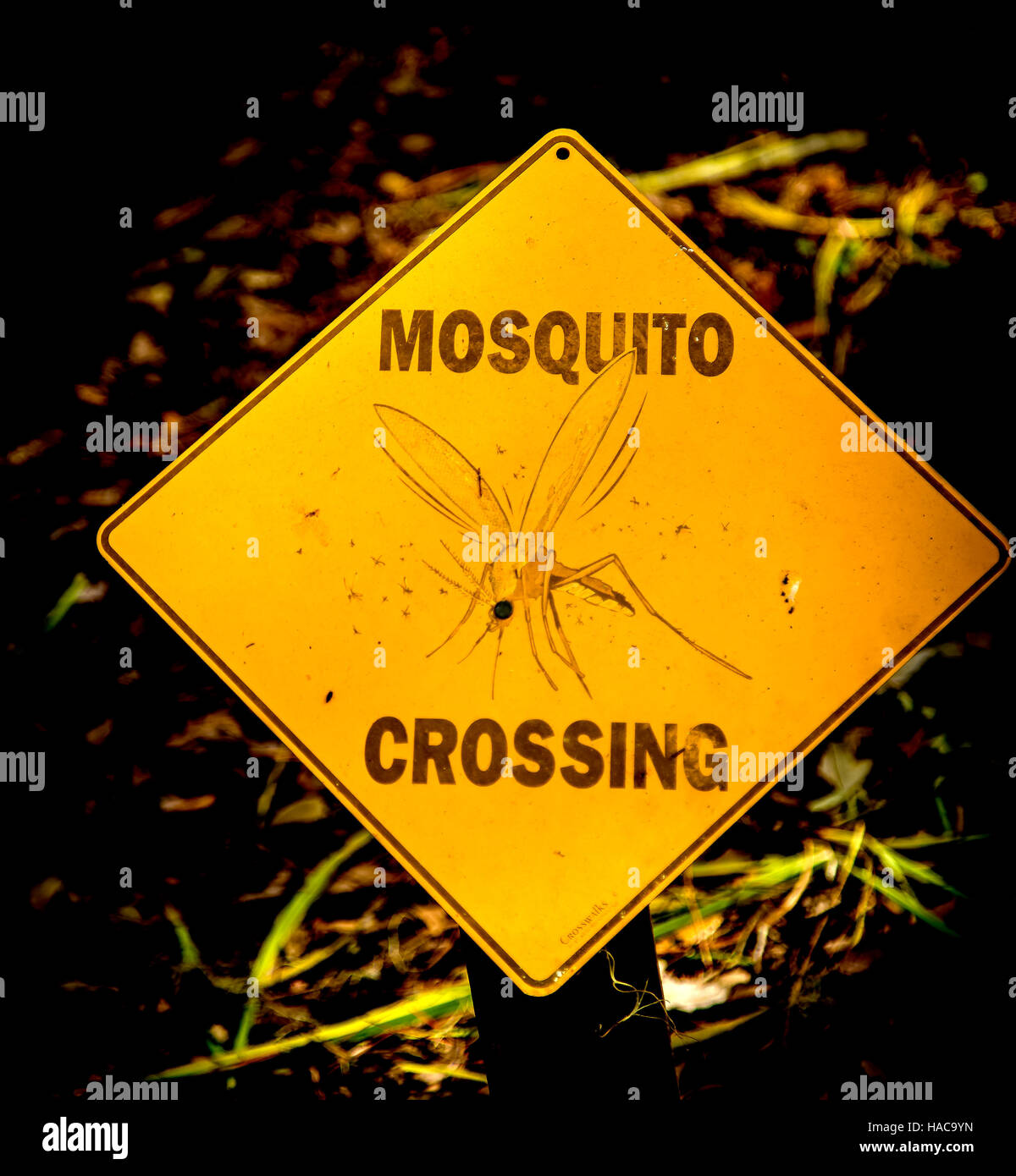 Mosquito Crossing sign Stock Photo - Alamy