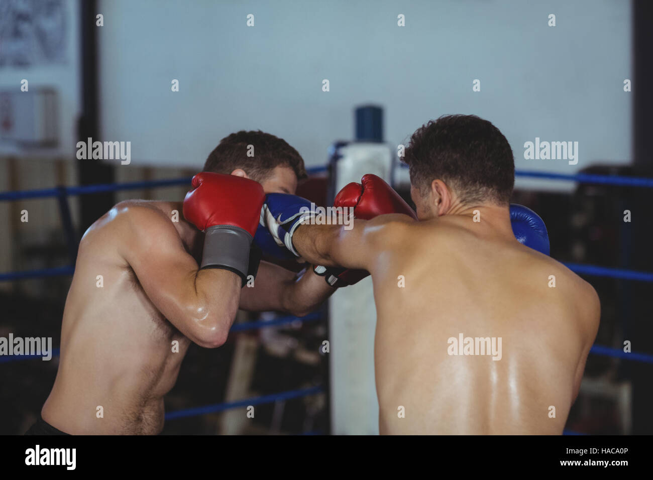 Boxers fighting in boxing ring Stock Photo - Alamy