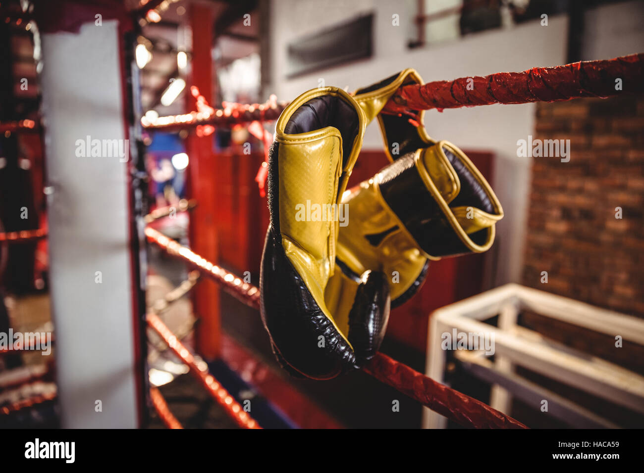 Yellow boxing gloves hanging off the boxing ring Stock Photo - Alamy
