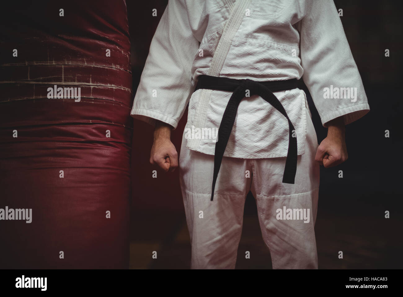Karate fist hi-res stock photography and images - Alamy