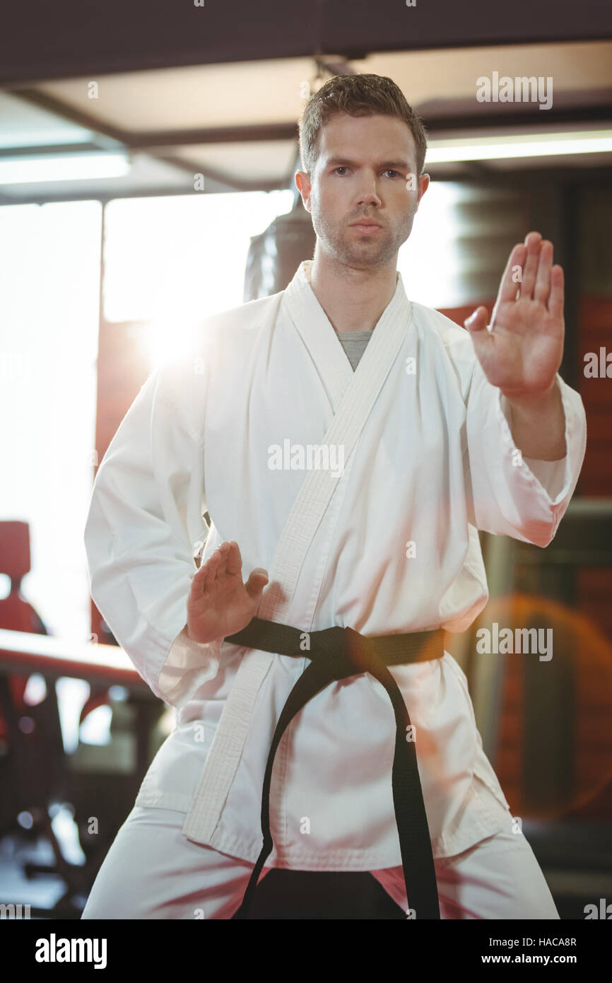 Karate player performing karate stance Stock Photo - Alamy