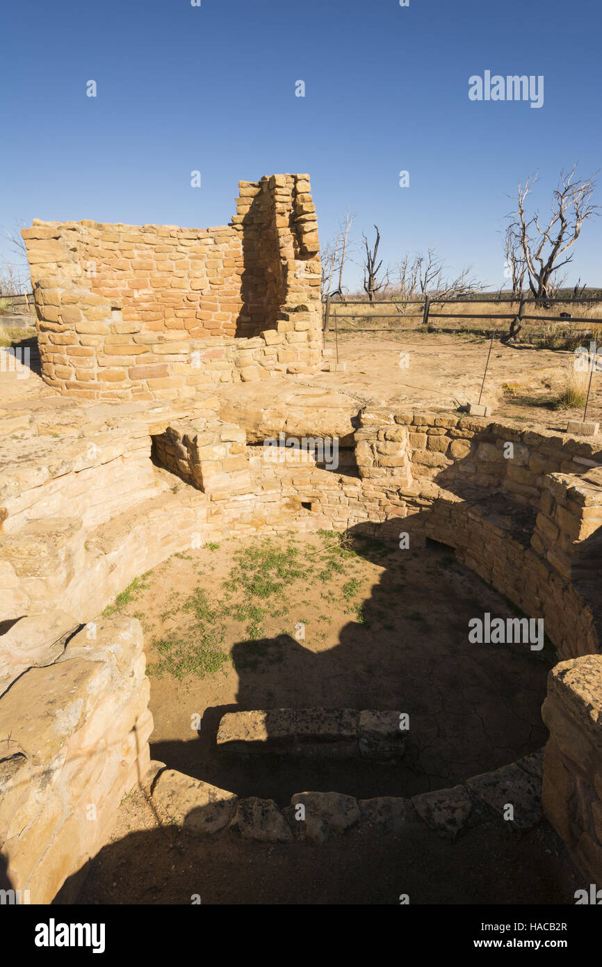 Cedar tree tower hi-res stock photography and images - Alamy