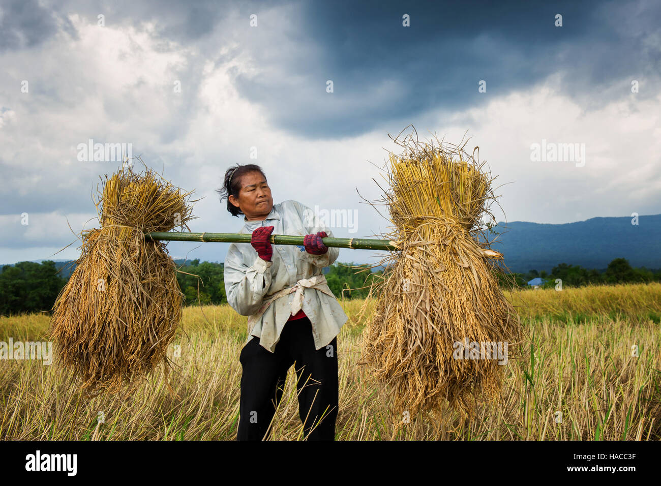 Lee craker hi-res stock photography and images - Alamy