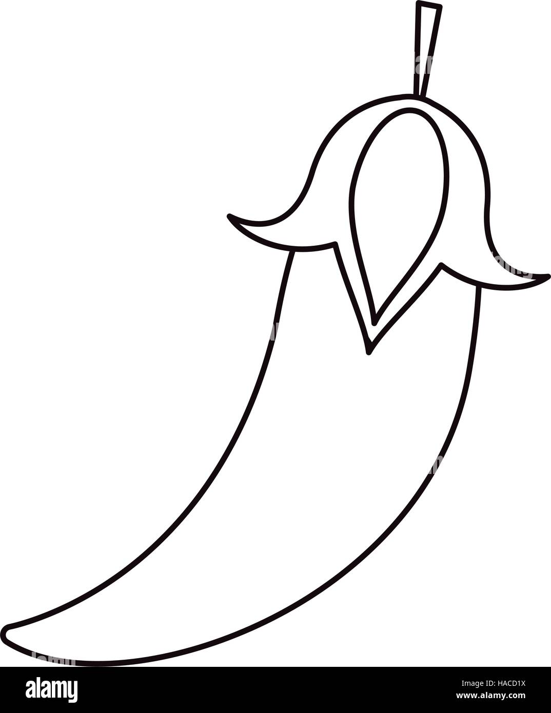 outline chili pepper culinary food Stock Vector Image & Art - Alamy