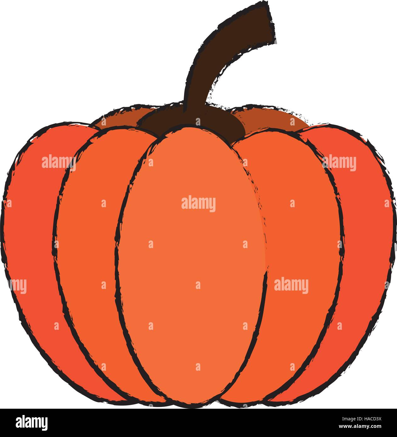 drawing pumpkin harvest bittersweet vegetable icon Stock Vector Image ...
