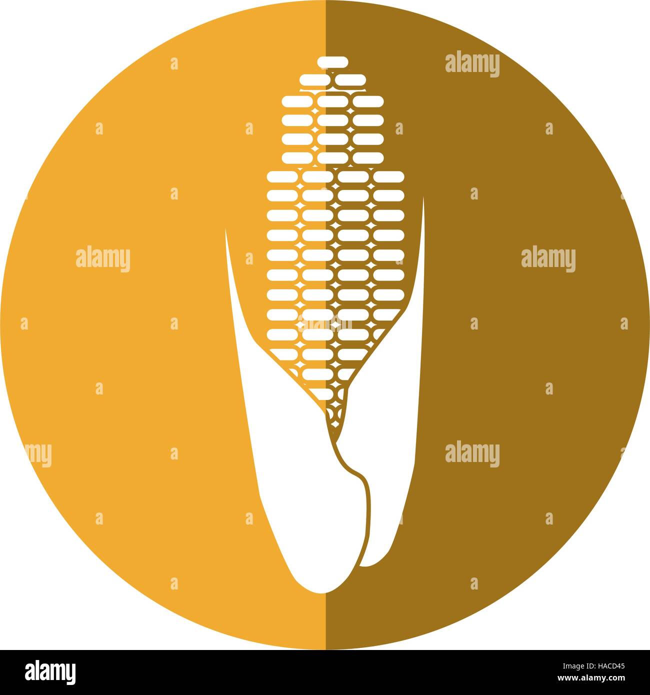 Corn on the cob sign Stock Vector Images - Alamy