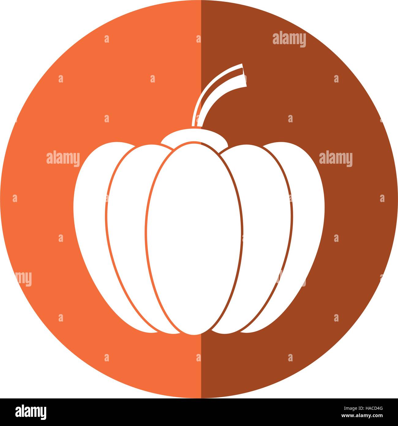 pumpkin harvest bittersweet vegetable icon orange circle Stock Vector ...