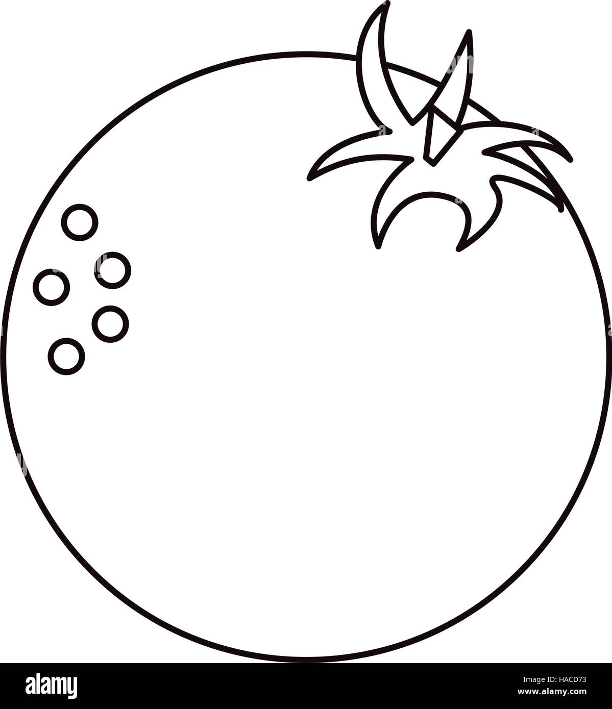 fresh orange fruit nature outline Stock Vector Image & Art - Alamy