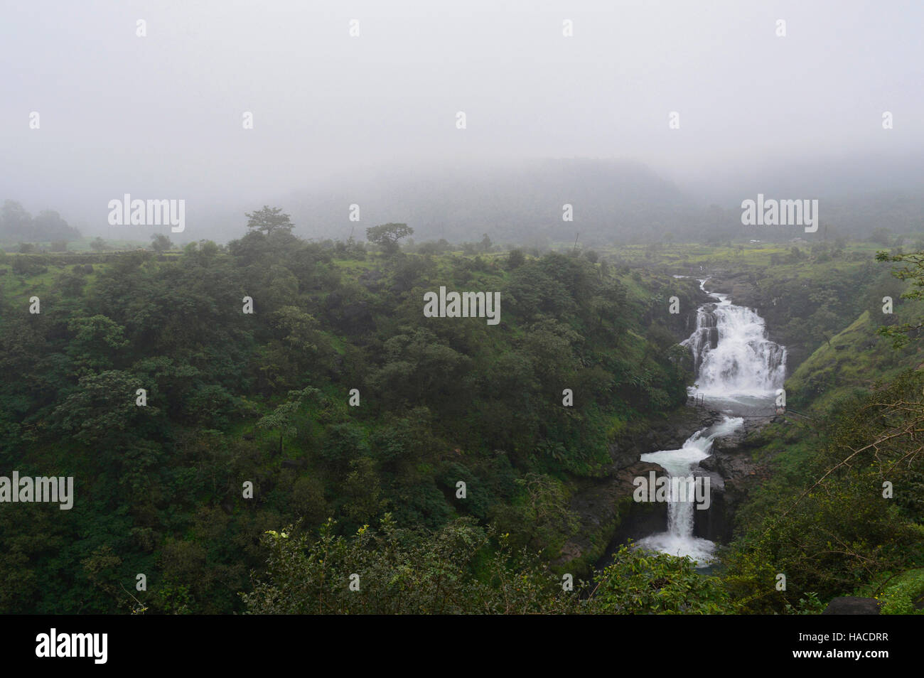 Kondhawale waterfall near Bhimashankar, Pune Stock Photo - Alamy