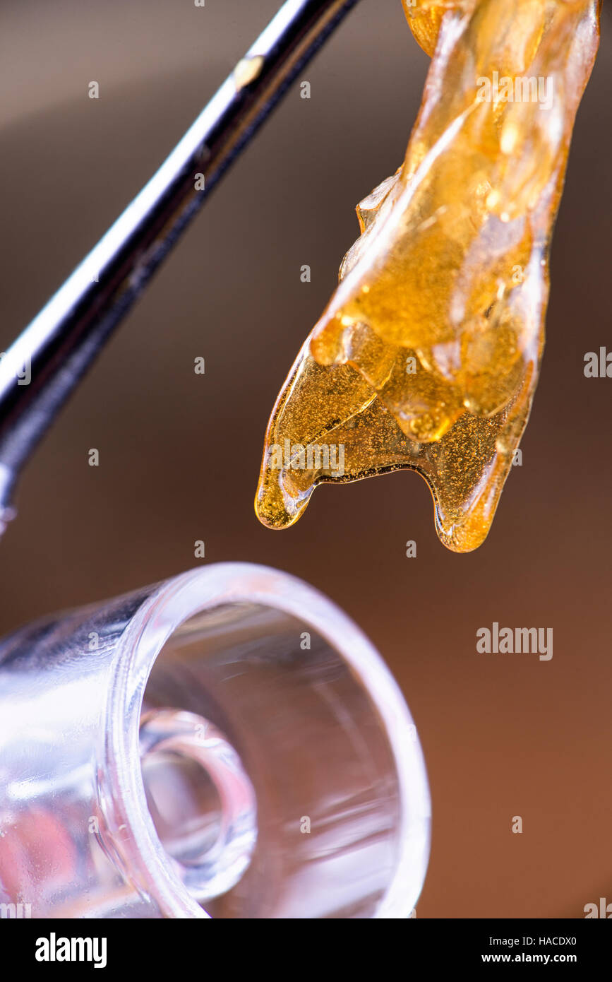 Close up detail of marijuana oil concentrate aka shatter dab with glass ...