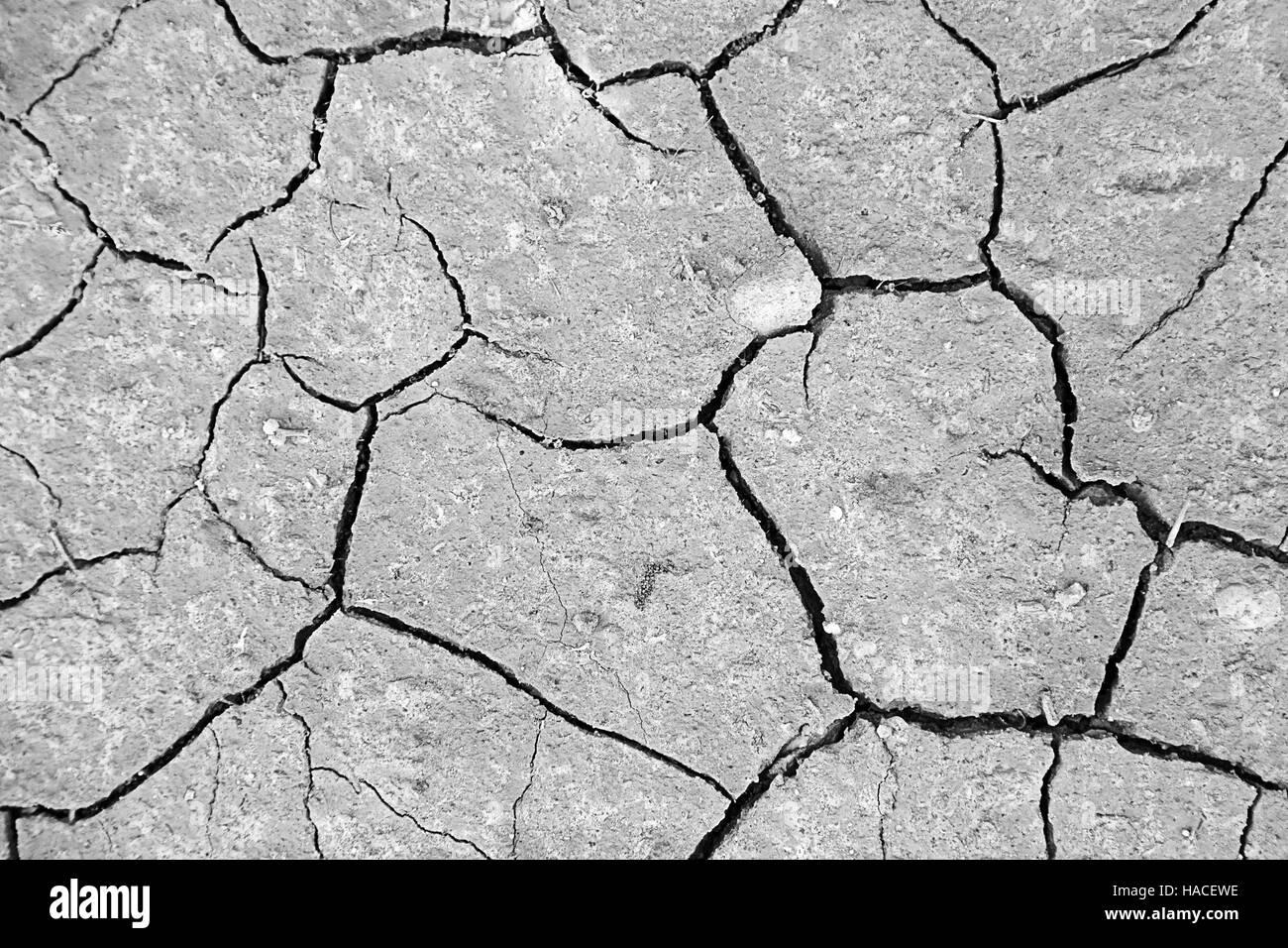 Dry and broken in nature field, agriculture Stock Photo - Alamy
