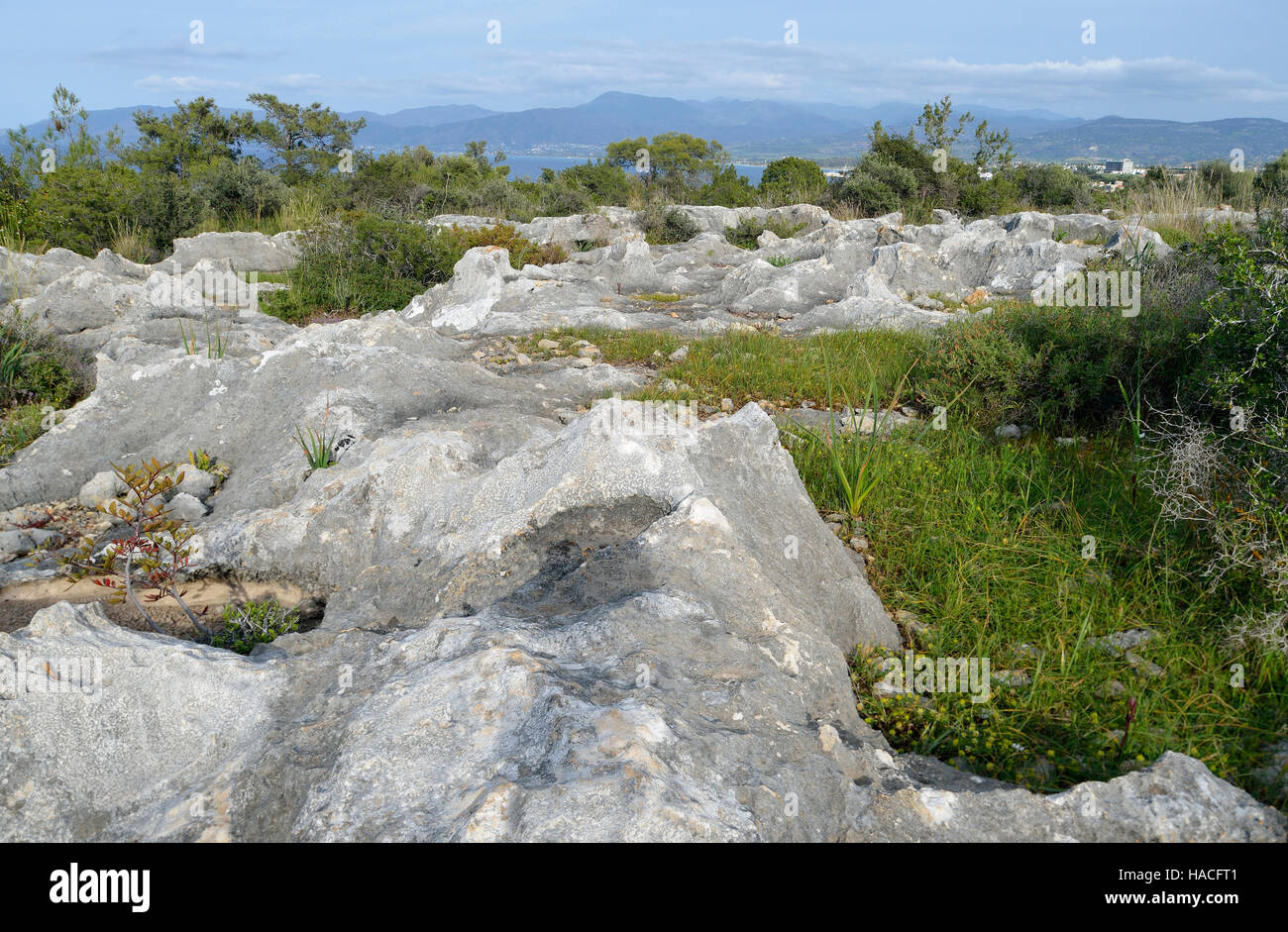 Limestone pavement rock stone hi-res stock photography and images - Alamy