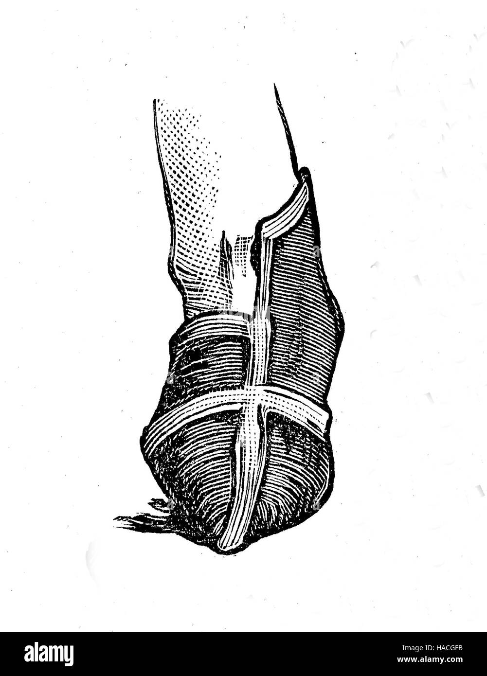 Fashion of the past shoe from the 12 century hi-res stock photography ...