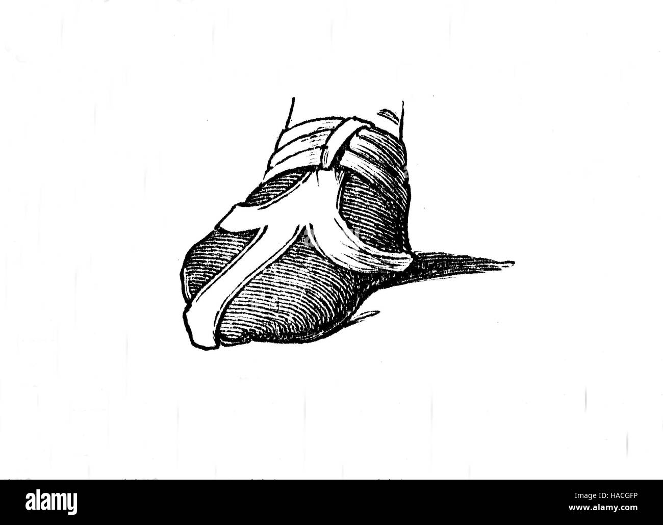 Fashion of the past shoe of the normans hi-res stock photography and ...