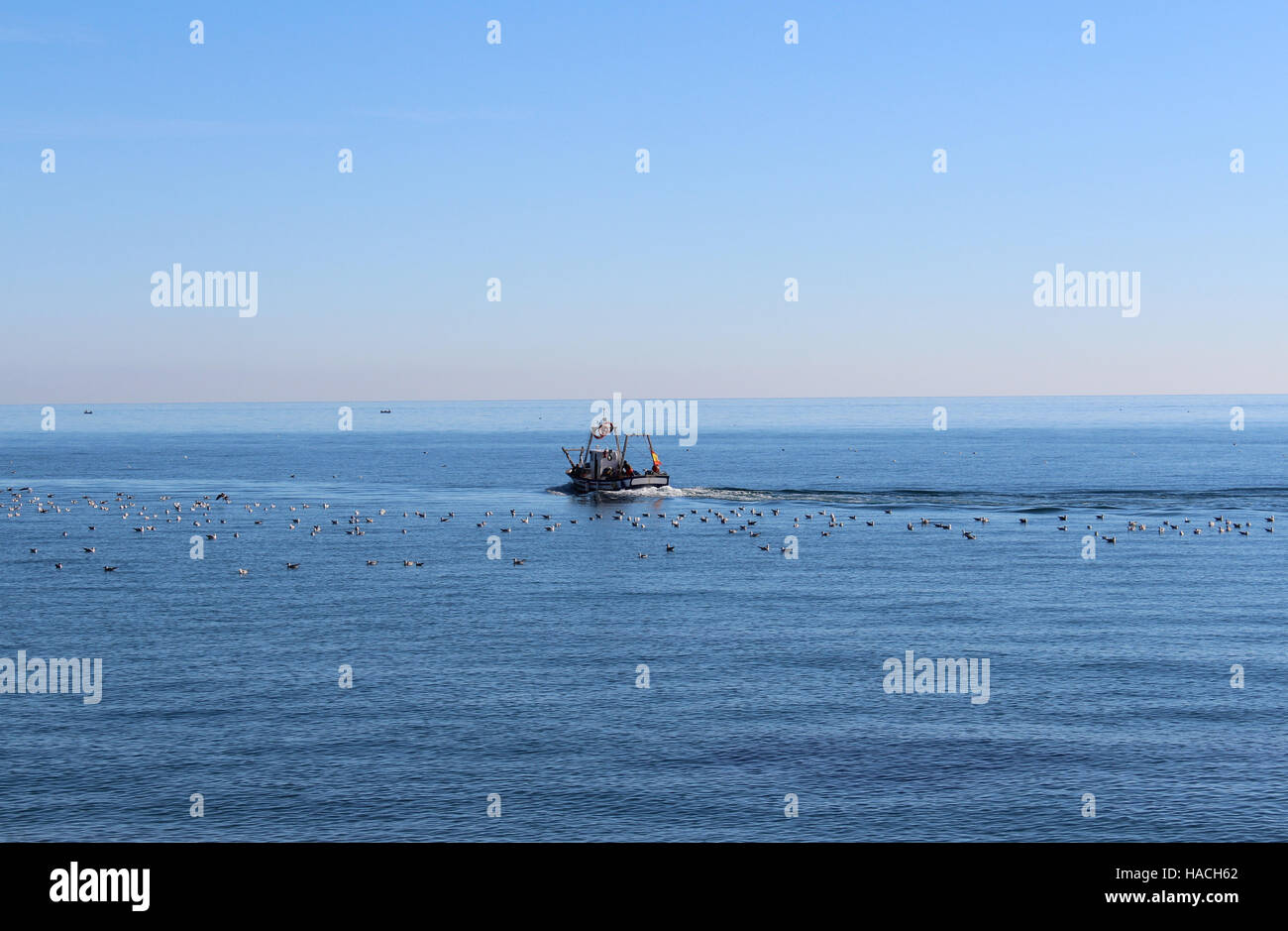 Fishing boat with seagulls hi-res stock photography and images - Alamy