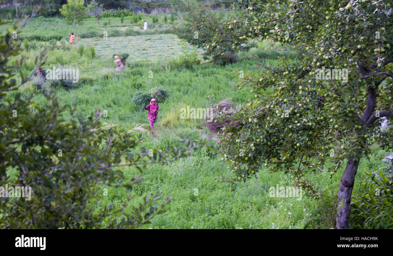 Pakistani women hi-res stock photography and images - Alamy