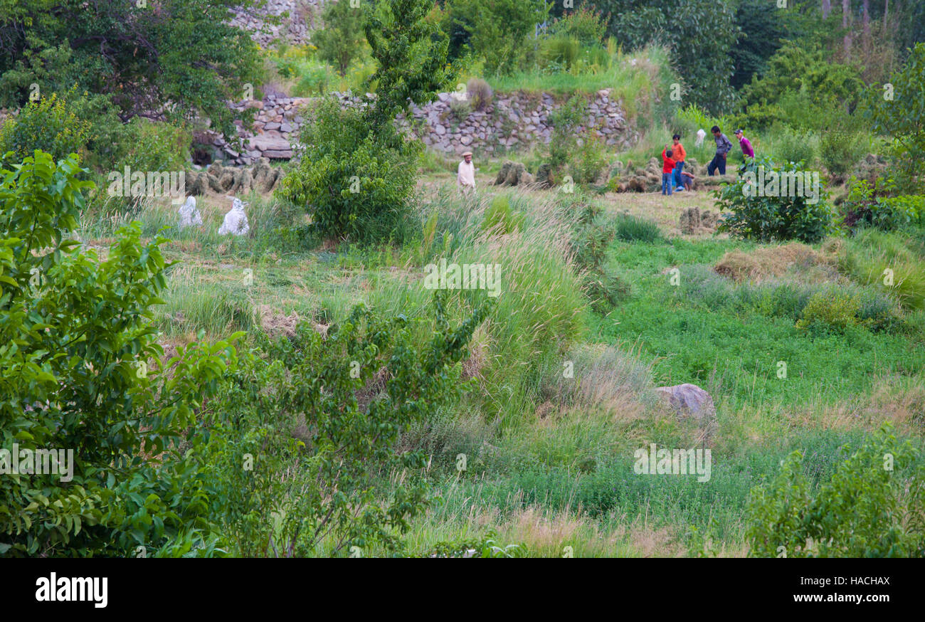 Muslim villagers living in beautiful traditional village in nature ...
