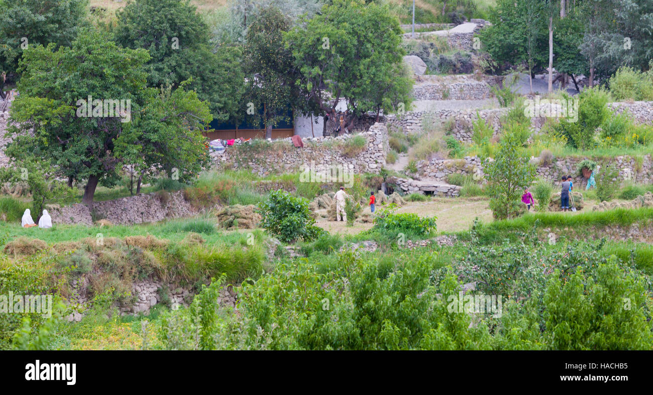 Muslim people living in beautiful traditional village in nature, Hunza ...