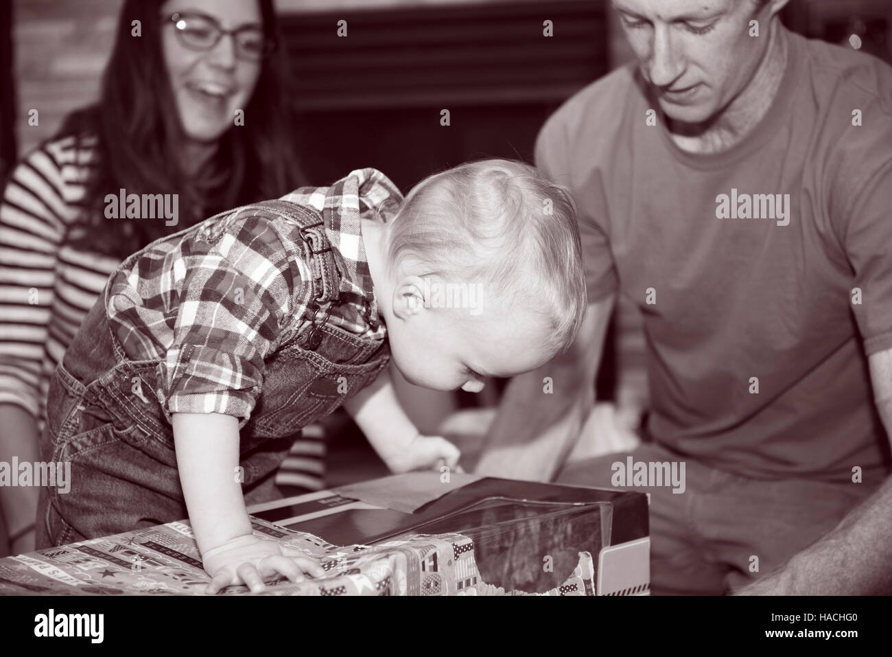 Little Boy Looks into Partially Wrapped Box in Wonder with his Parents ...