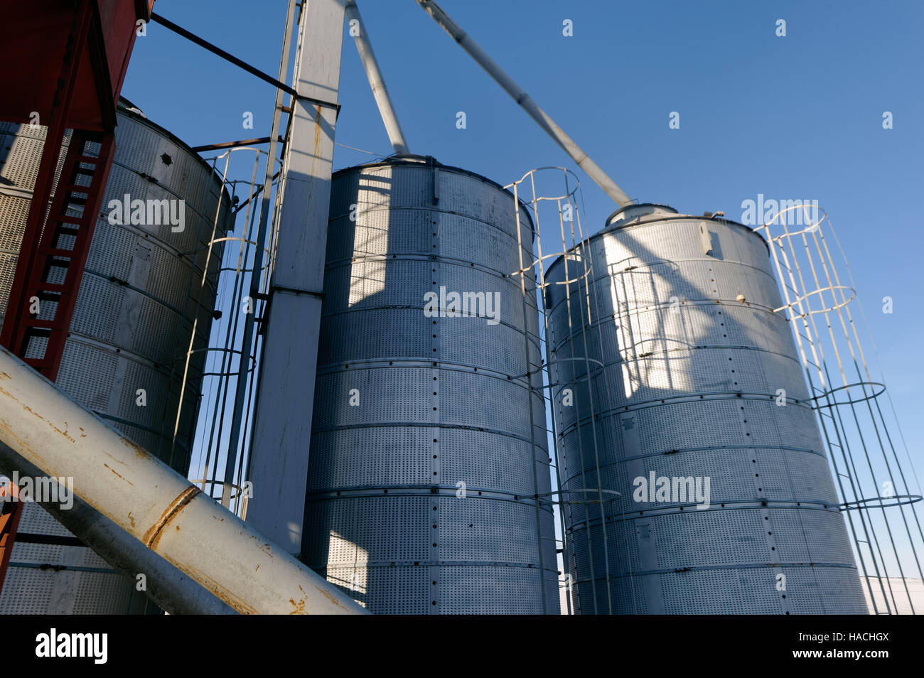 Corn Crop Drying High Resolution Stock Photography and Images - Alamy