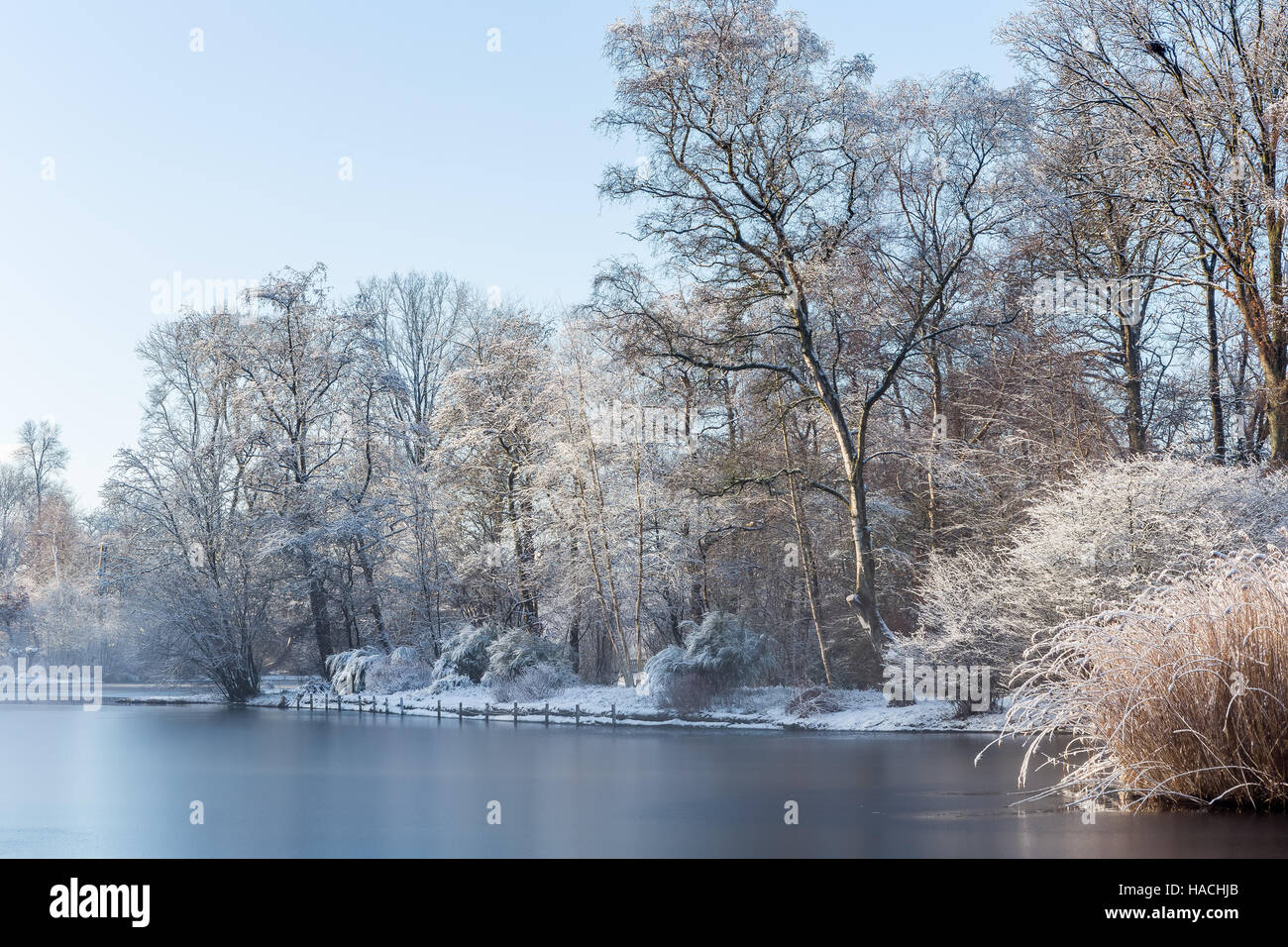Ice covered garden pond hi-res stock photography and images - Alamy
