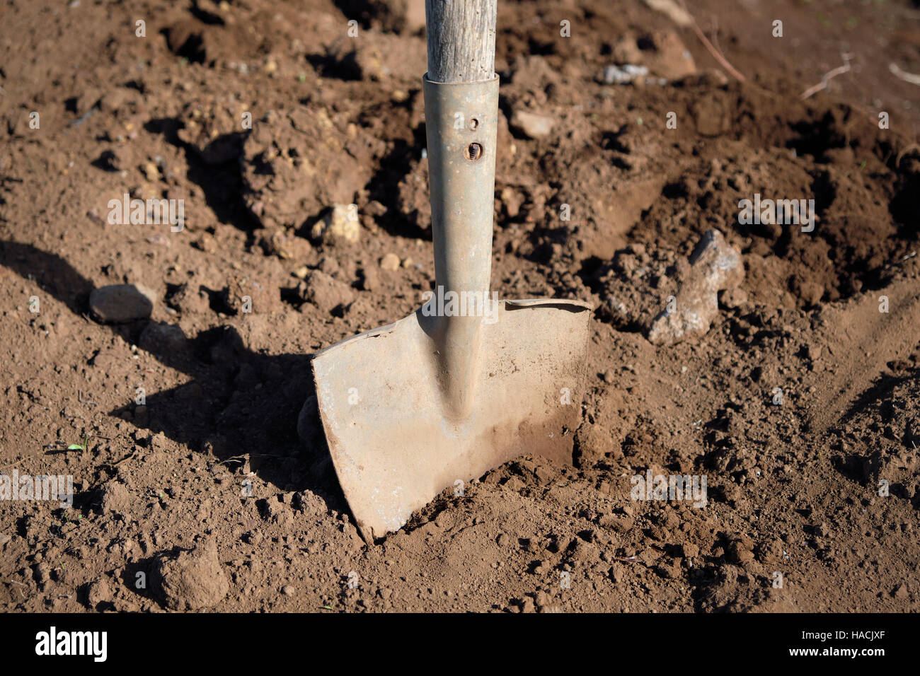 Shovel In Ground