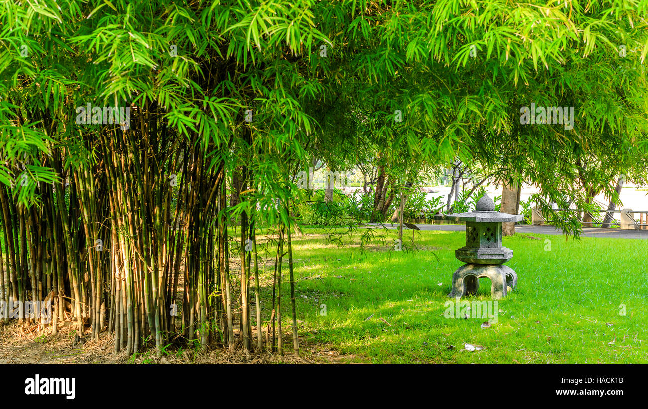 Green tree and grass lawn in park background Stock Photo - Alamy