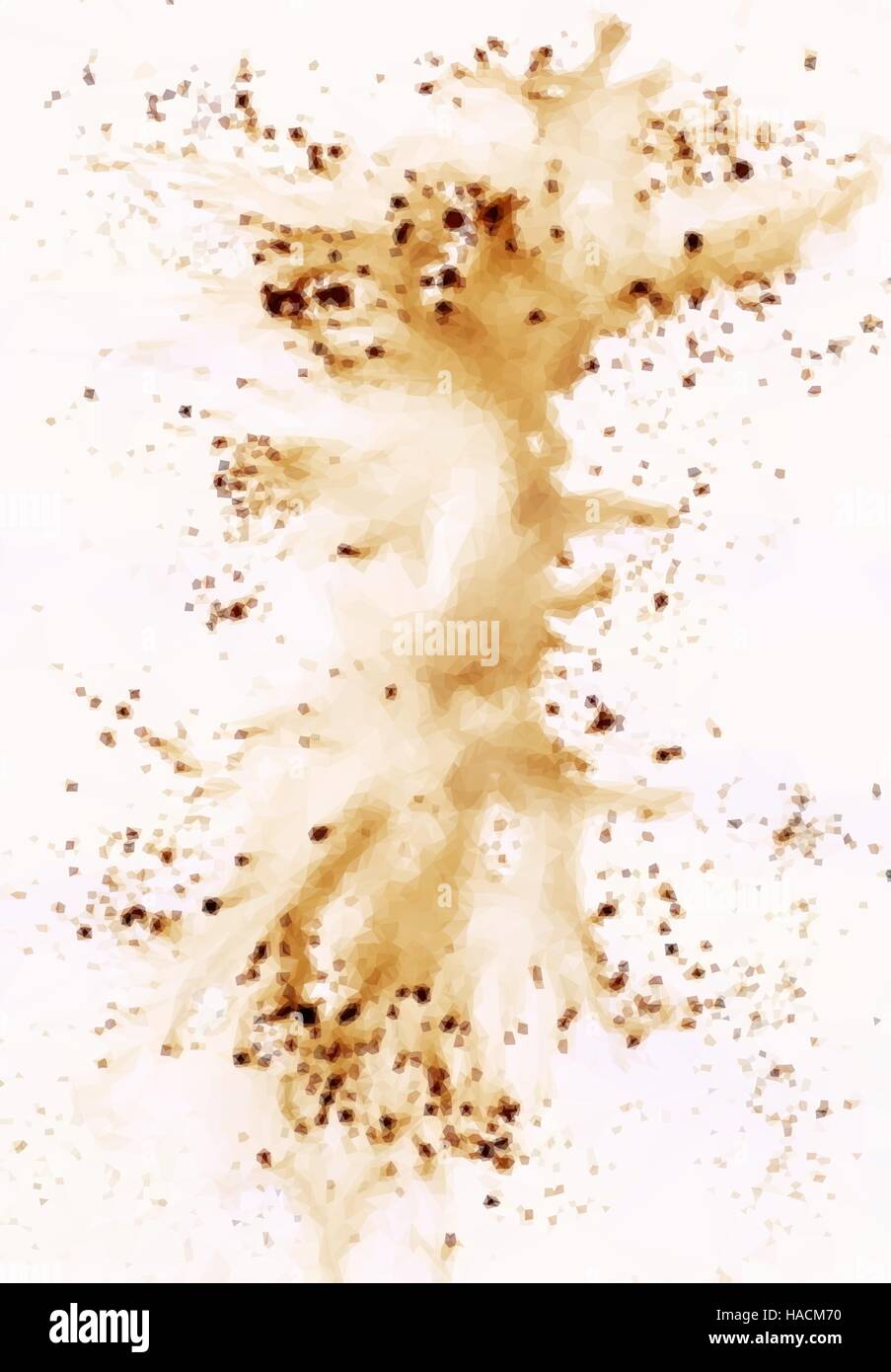 Buff background hi-res stock photography and images - Alamy