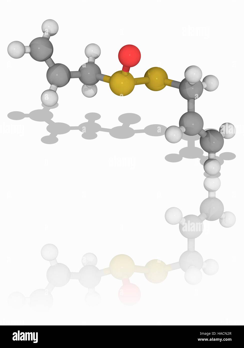 Allicin molecular Cut Out Stock Images & Pictures - Alamy