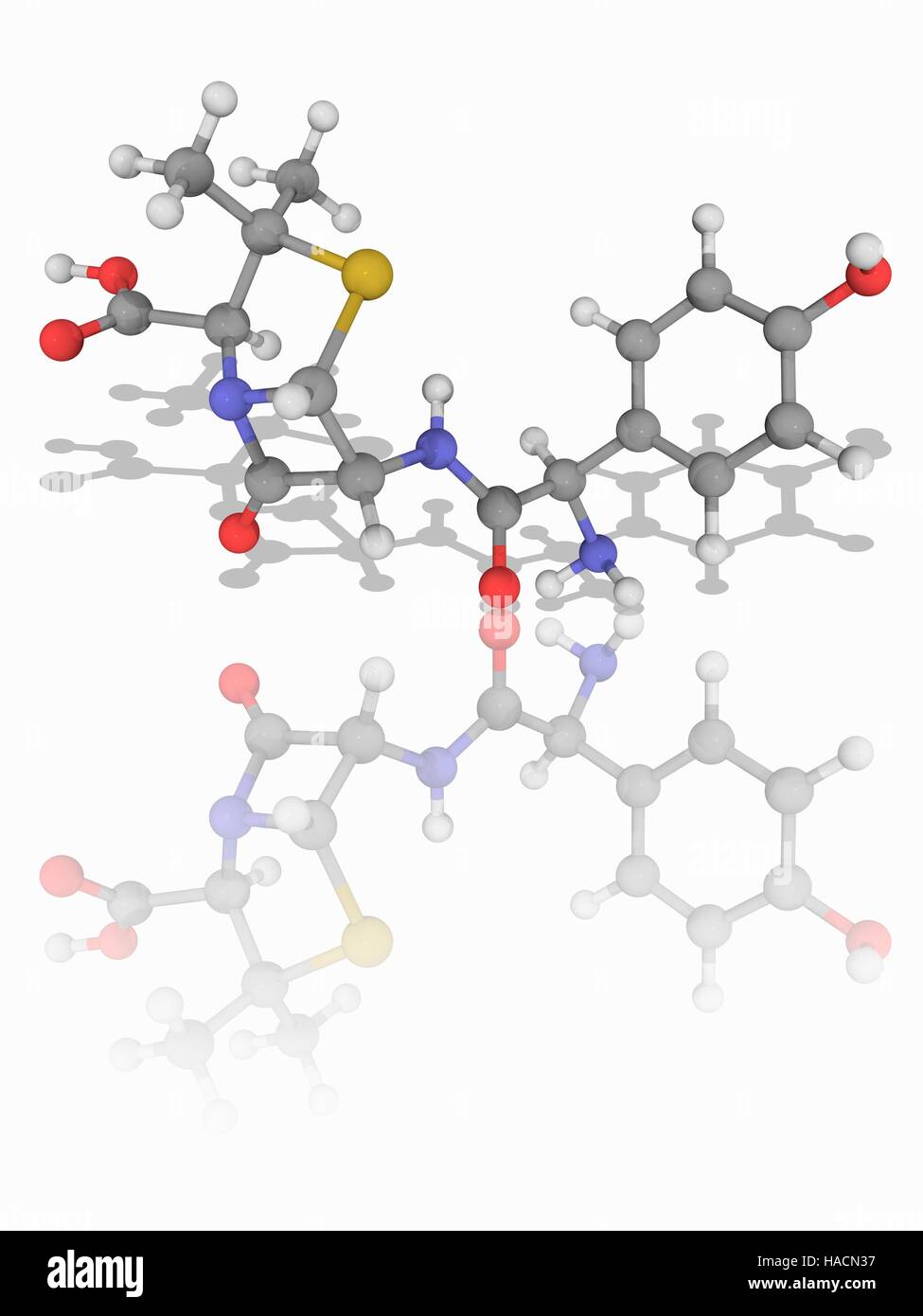 Bacteriolytic hi-res stock photography and images - Alamy