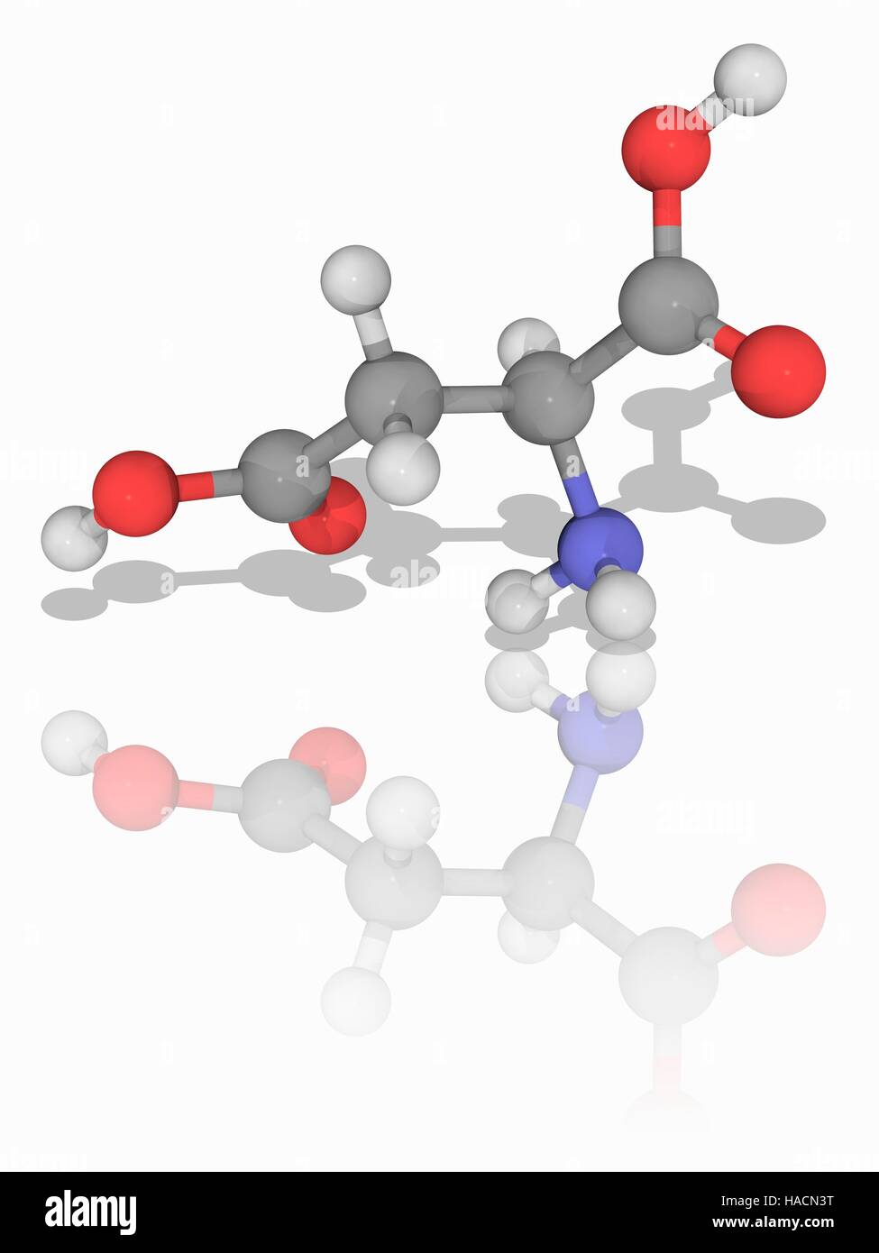 Aspartic acid hi-res stock photography and images - Alamy