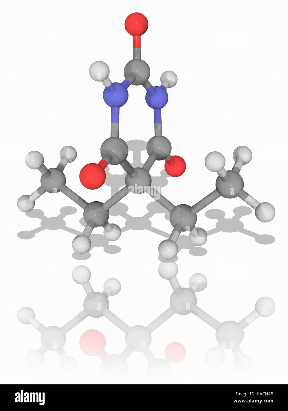 Barbital. Molecular model of the barbiturate drug barbital (C8.H12.N2 ...