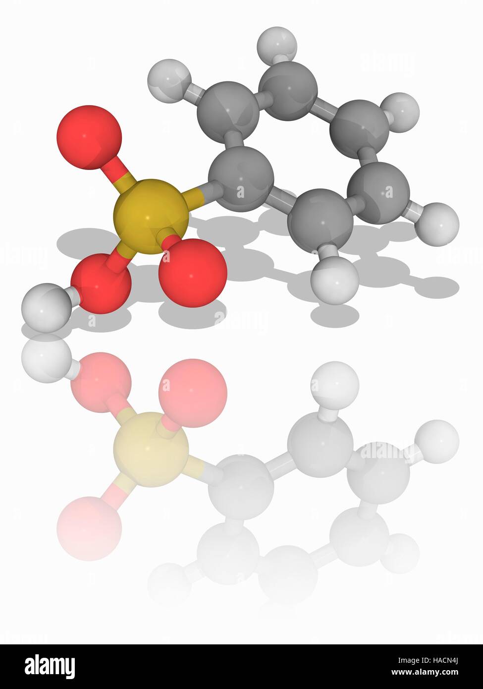 Benzenesulfonic acid. Molecular model of the simplest aromatic sulfonic ...