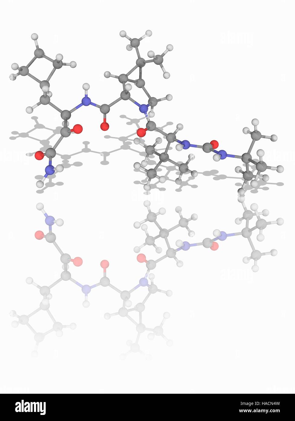 Boceprevir. Molecular model of the protease inhibitor drug boceprevir ...